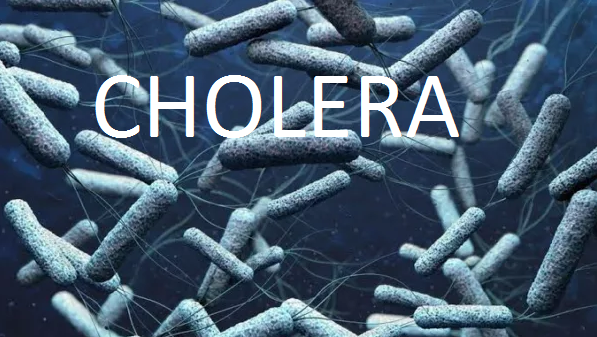 Cholera Outbreak In Lagos Claims Five Lives, 60 Hospitalized | Afrika Eyes